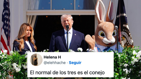 Trump habla de la guerra de Irán junto a un conejo gigante y ya podemos ...