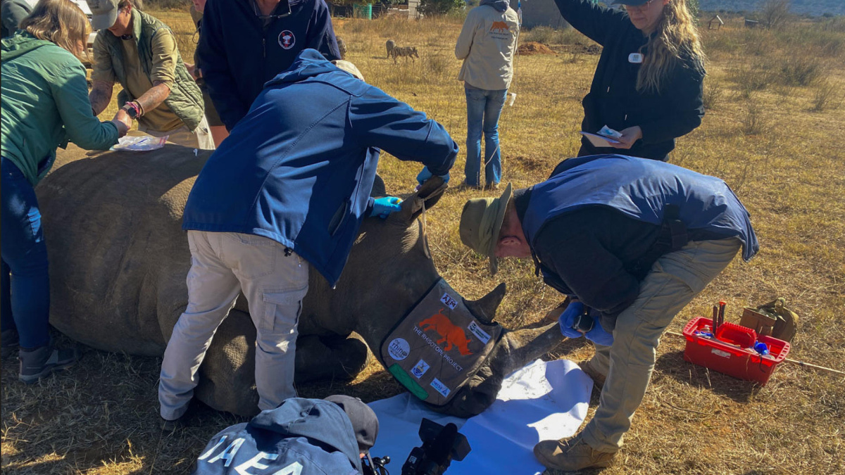 Porno egipto scheduling was easy, I sent an electronic