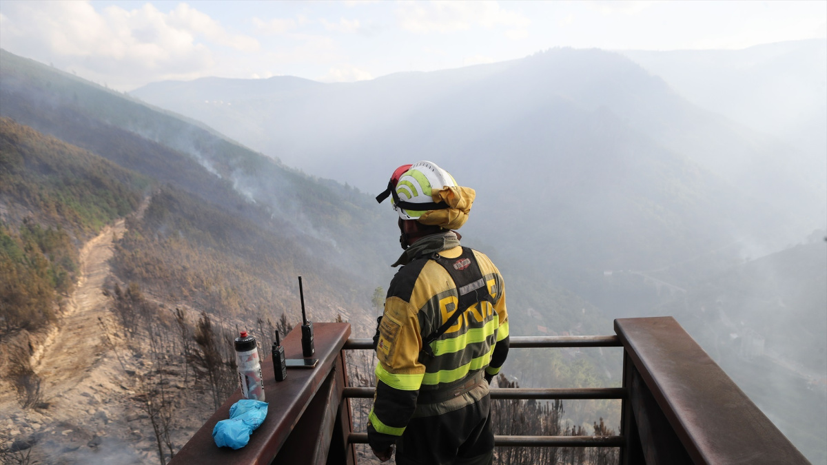 Olas de calor e incendios sin precedentes reflejan un grave estado del ...