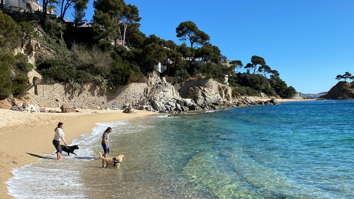 10 platges de Catalunya on pots anar amb el gos aquest estiu | Público
