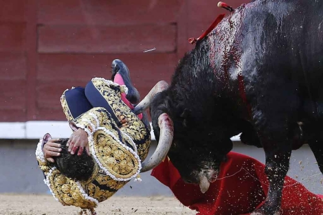 Corneado el matador Iván Fandiño: La tradición taurina dicta que la ...